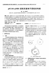 pSC101-pMB1质粒双复制子质粒的构建 - 道客巴巴